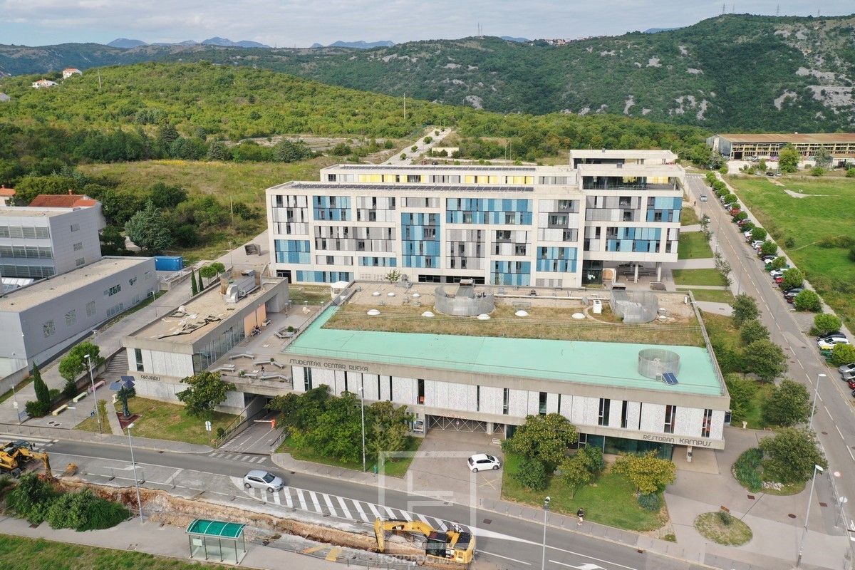 Predavanje "O mirisima i okusima djevičanskih maslinovih ulja"