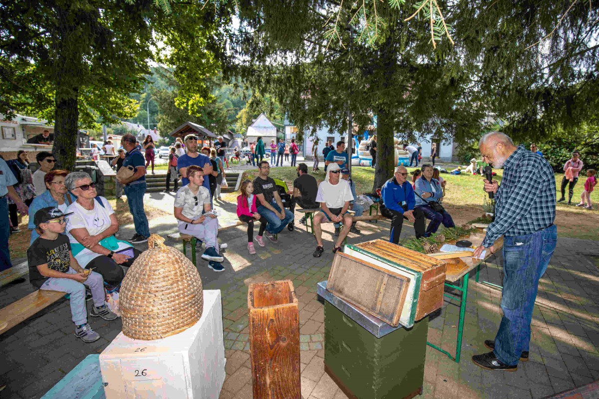 Medun Fest i otvorenje Povijesnog parka Gorica: Spoj prirode, kulture i ...